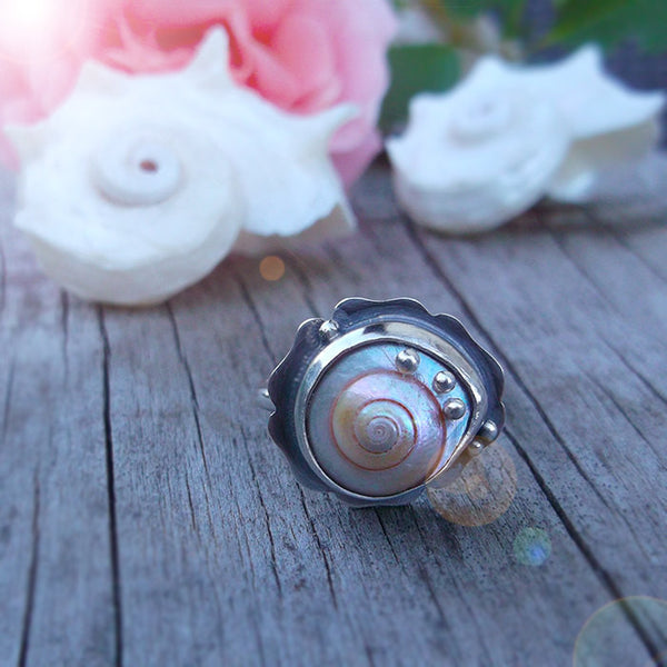 By The Sea Ring No.1 - Silversmithed Umbonium Shell Ring – Lilyblonde